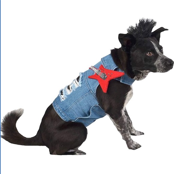 Hyde and Eek Boutique | Other | Rockstar Rock And Roll 8s Rocker Dog ...